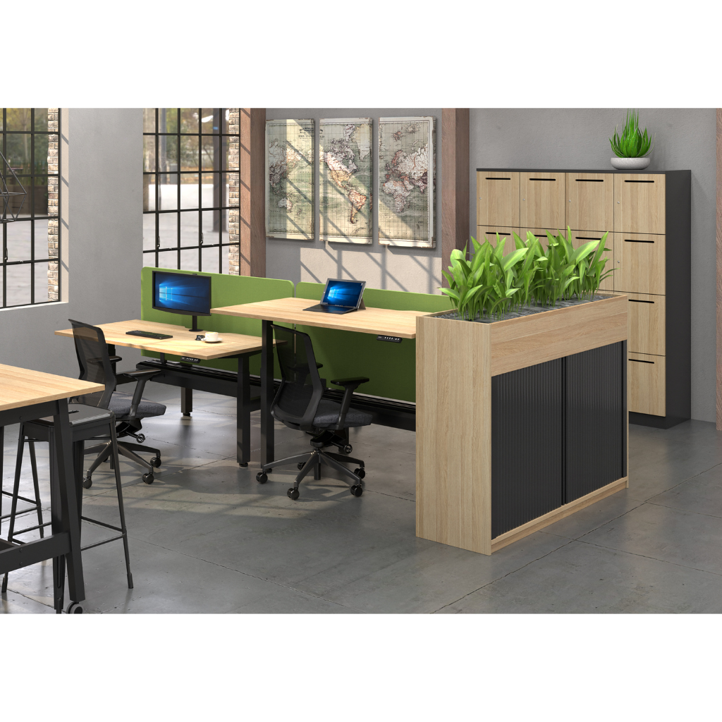 Electric Height Adjustable Standing Desk NZ from Workspace Direct